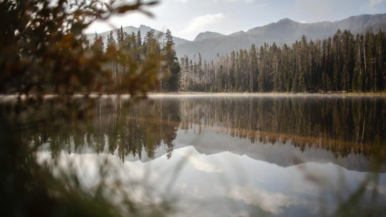 Yellowstone National Park Attractions - Old Faithful RV Park